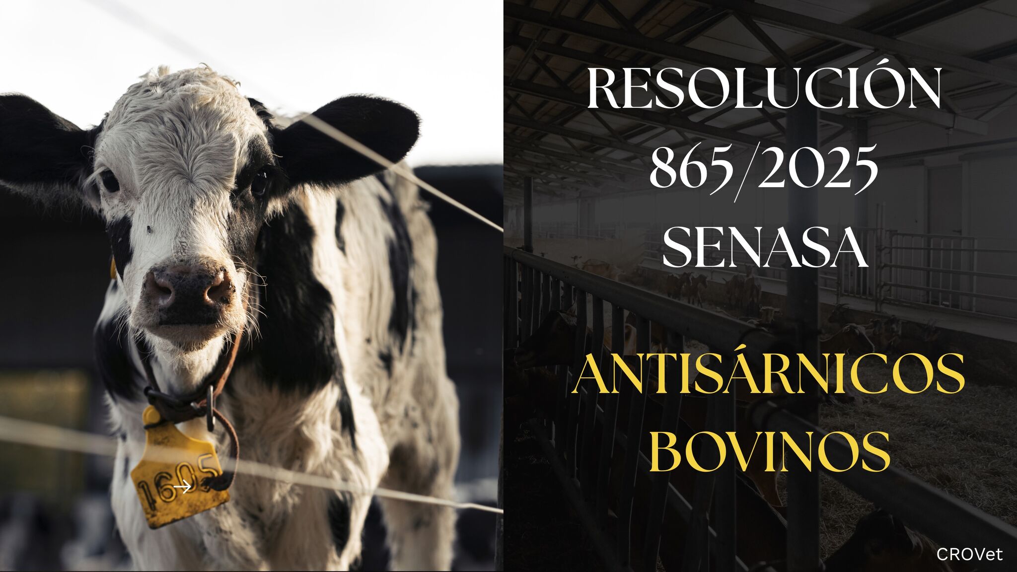 Nuevas pautas para el registro de antisárnicos para bovinos. - CROVet